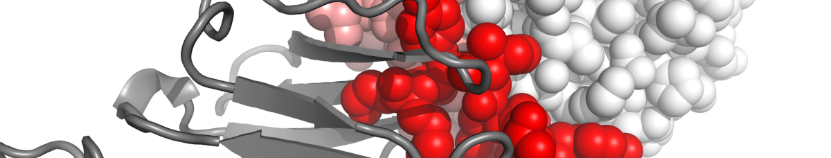 Horn Lab – Horn Research Group